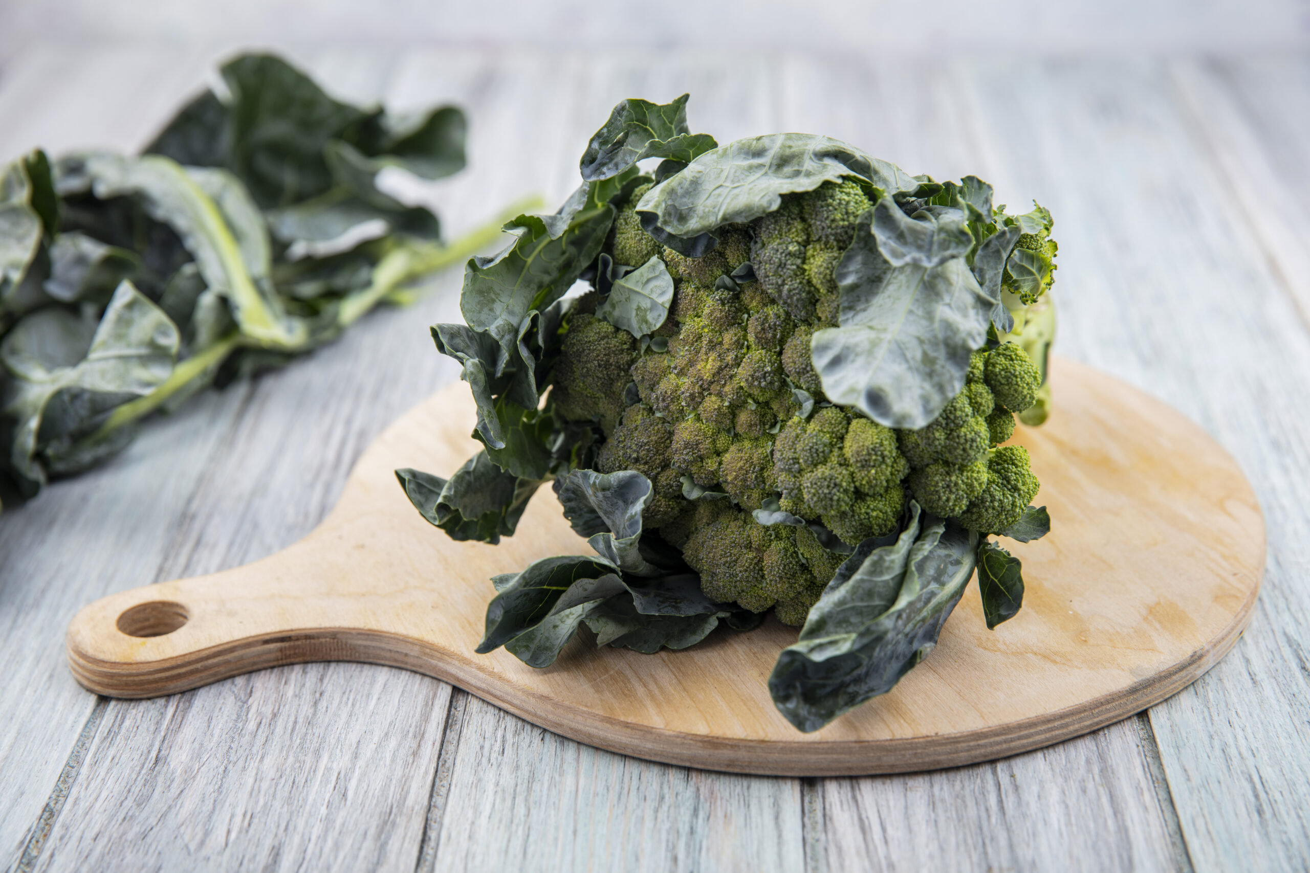 Top 10 des Super-Aliments Locaux et de Saison en France - Jérémy Fignon ...